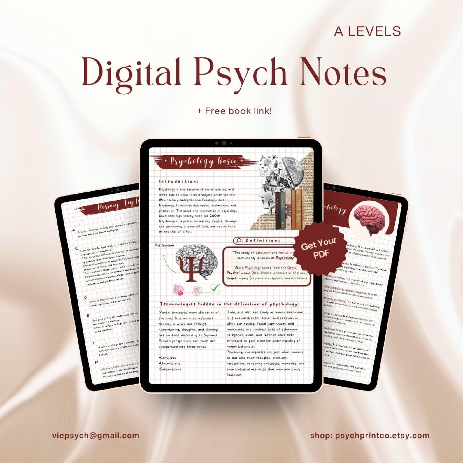 Psychology 101 Introduction Notes for Beginners & Students + Free Book ...