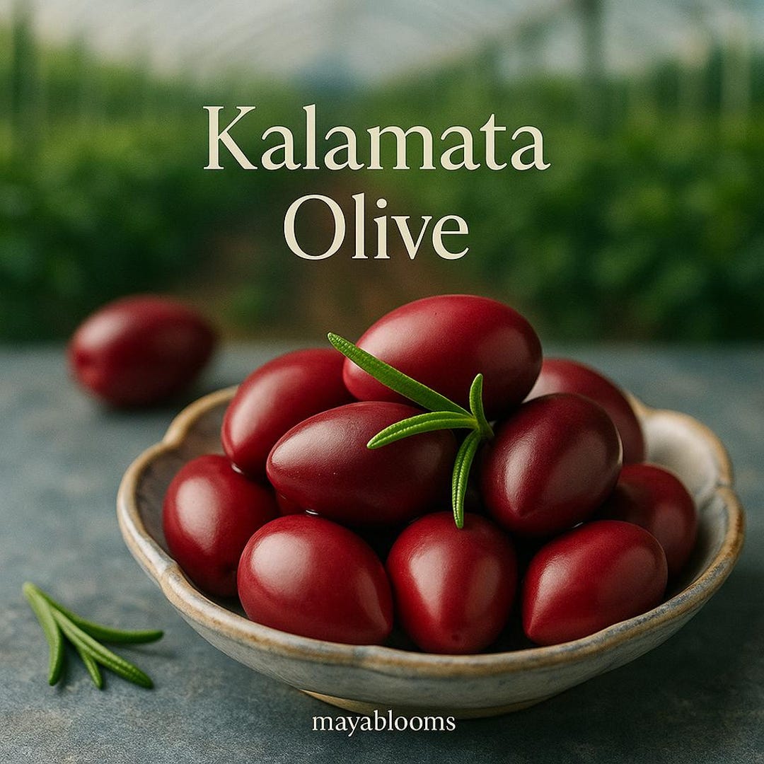 10 Kalamata Olive Seeds Grow Olive Trees at Home Patio & Garden Fruit ...