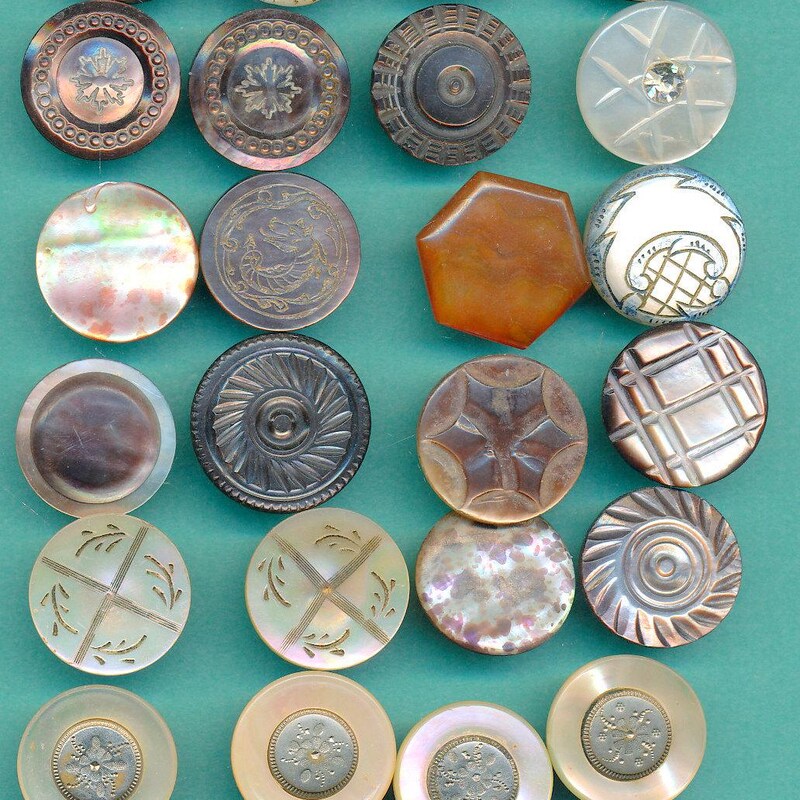 Antique Buttons Shell - Etsy