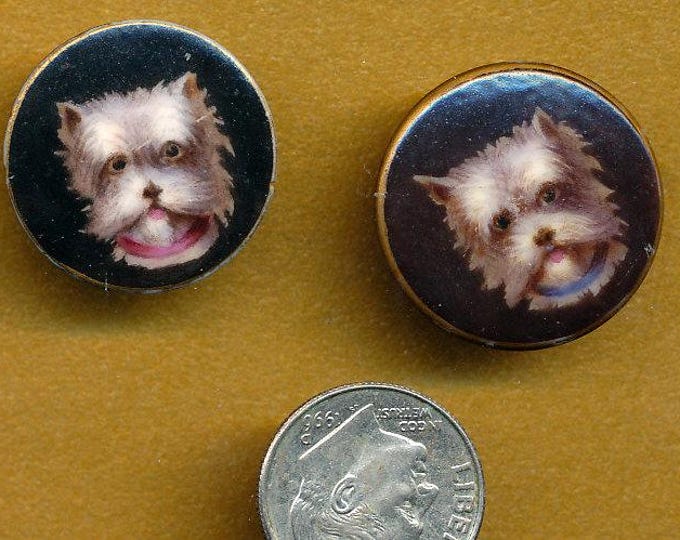 Antique Victorian Porcelain Buttons Studs Pair of Terrier Dogs - Etsy 日本