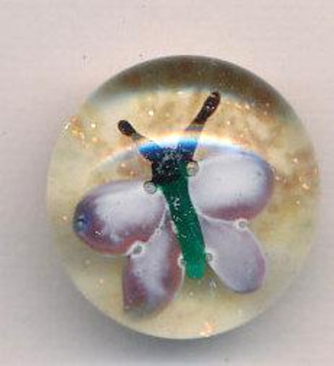 Paperweight Butterfly Button by John Gooderham - Etsy