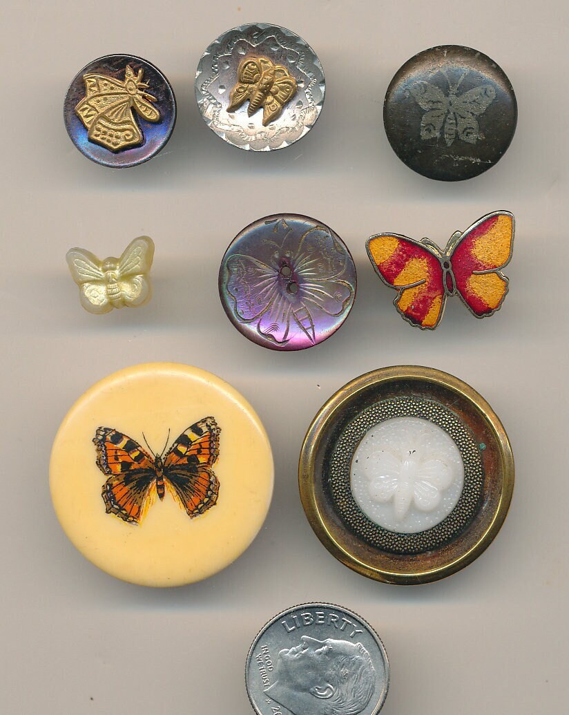 Antique and Vintagebutterfly Buttons A Colllection of 8 Different 1890 ...