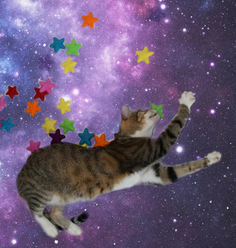 Catnip Infused Stars Cat Toy - Etsy