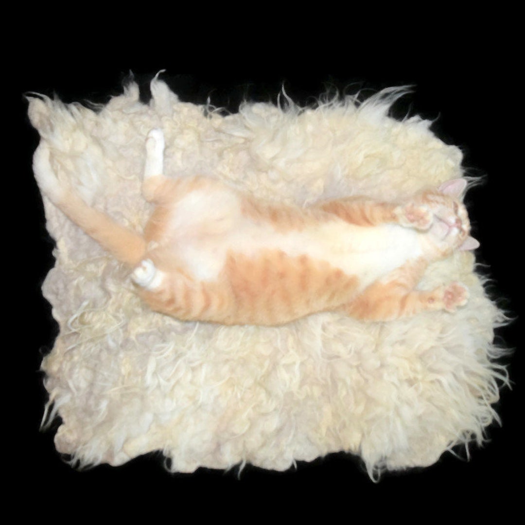 Cats Love Ewe Handcrafted Wool Cat Bed Sheared Sheep Rug - Etsy
