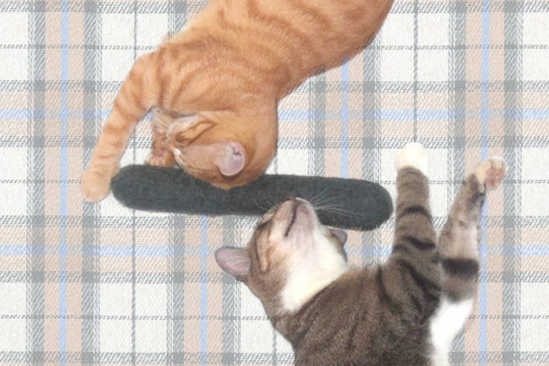 Cat Toy, Evil Cucumber, Catnip or Valerian & Catnip - Etsy