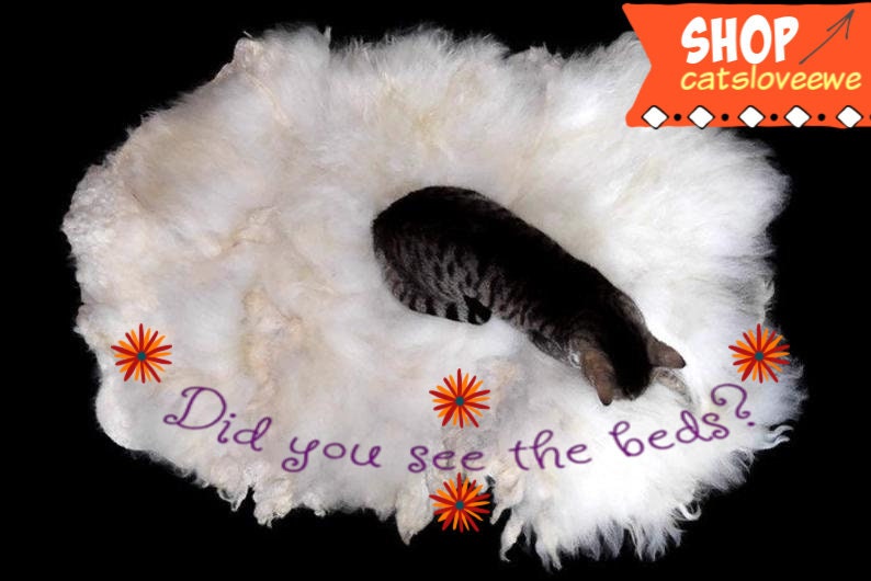 Star Cat Toys Catnip Infused Wool - Etsy