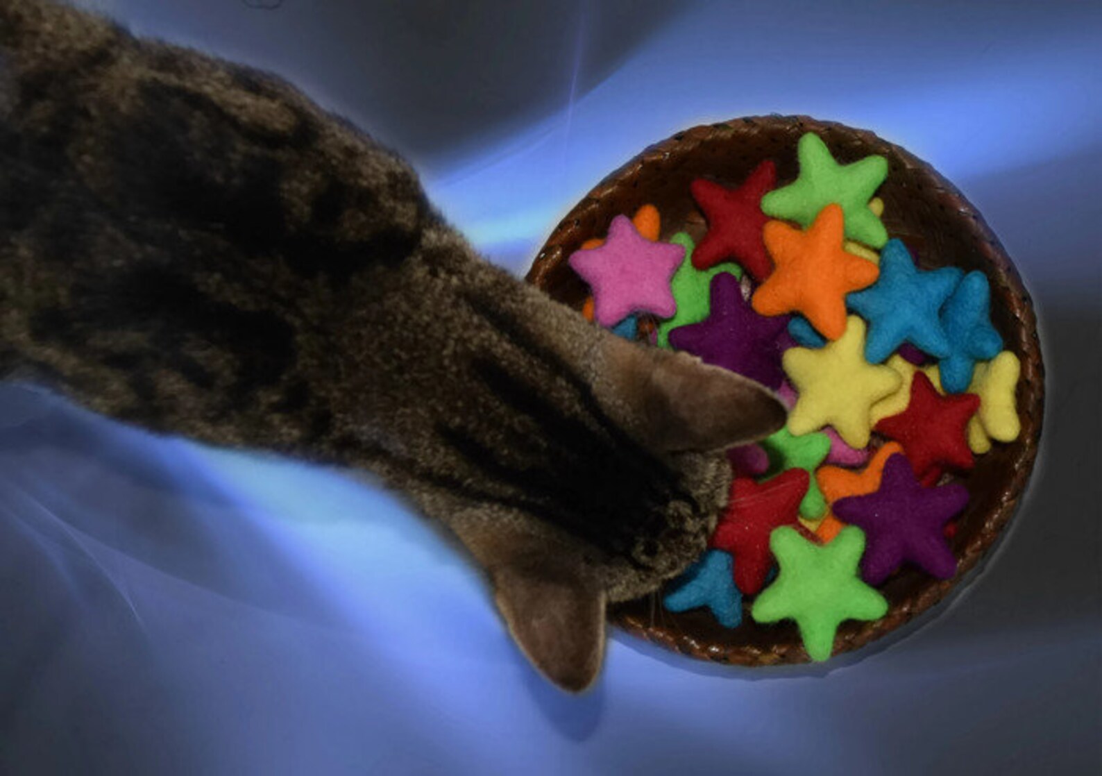 Catnip Infused Stars Cat Toy - Etsy