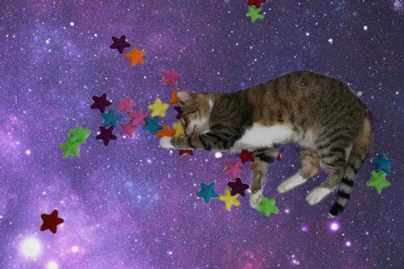 Star Cat Toys Catnip Infused Wool - Etsy