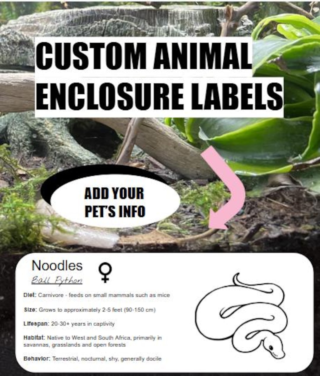 Reptile/pet Enclosure Labels - Customizable, Laminated Tags for ANY ...