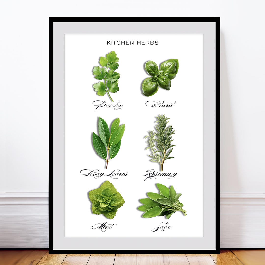 Kitchen Herbs Poster, Botanical Print, Dining Room Wall Art, Decorative ...