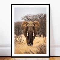 African Elephant - Etsy