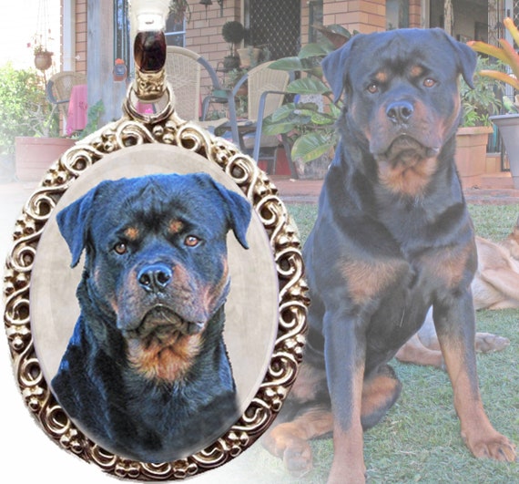 Personalized Rottweiler Sterling Silver Photo Necklace | Etsy