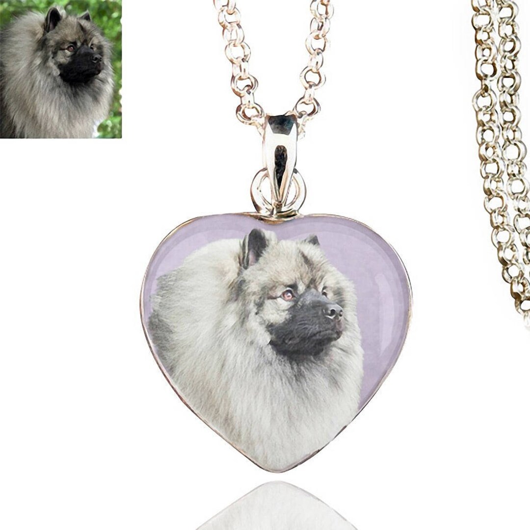 Collar personalizado con fotos de mascotas collar con memoria - Etsy España