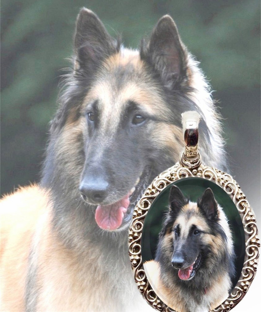 Personalized Belgian Shepherd Sterling Silver Photo Necklace ...