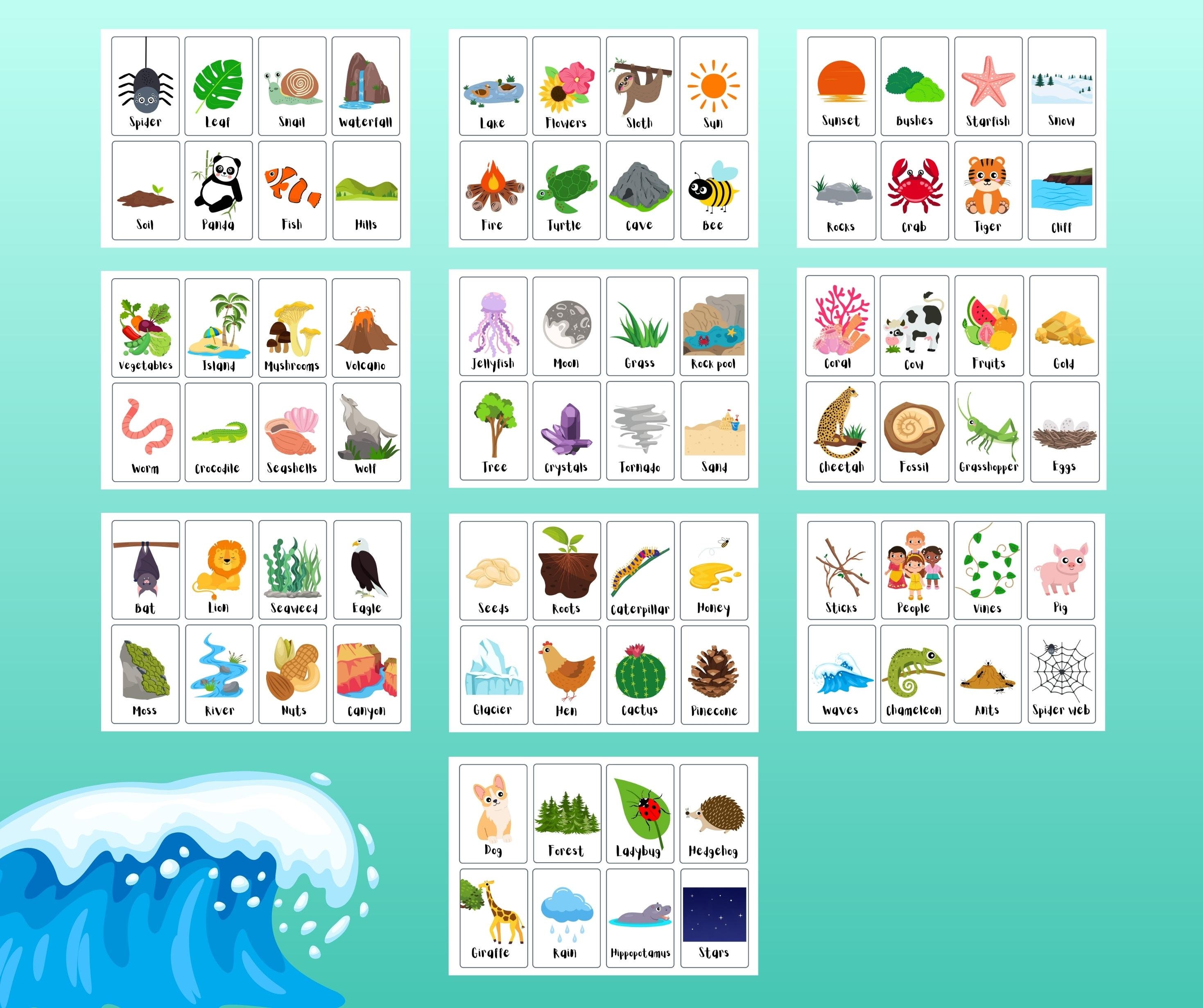 Children's Educational Nature Flashcards, 80 Colourful Flashcards ...