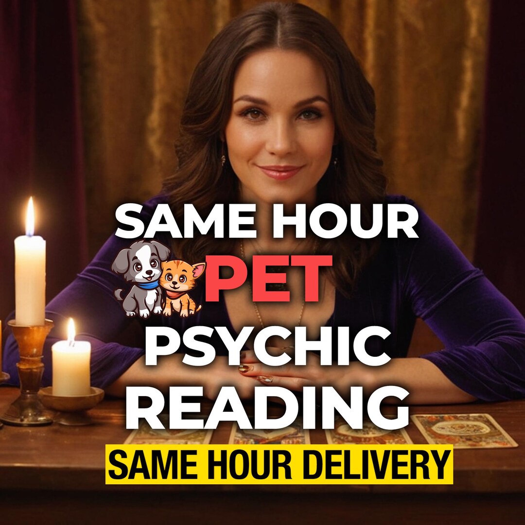 Same Hour Pet Psychic Reading, Cat or Dog Readings, Same Hour Delivered ...