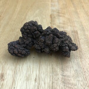 Copralite Fossilized Dinosaur Poop - Etsy