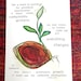 Poster Transformation by Way of Seed - Etsy