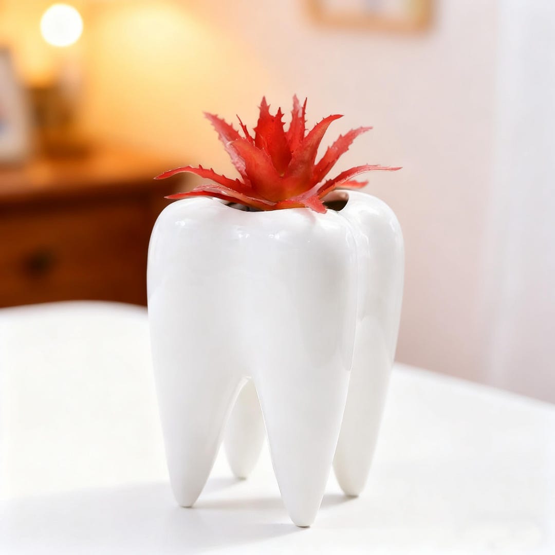 Teeth Flower Plant Pot,succulent Flower Pot,dentisit Gift,christmas ...