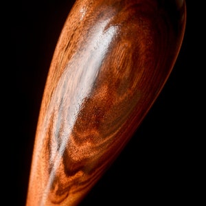 Walking Stick in Patagonia Rosewood, Cherry, and Acacia Walking Stick ...