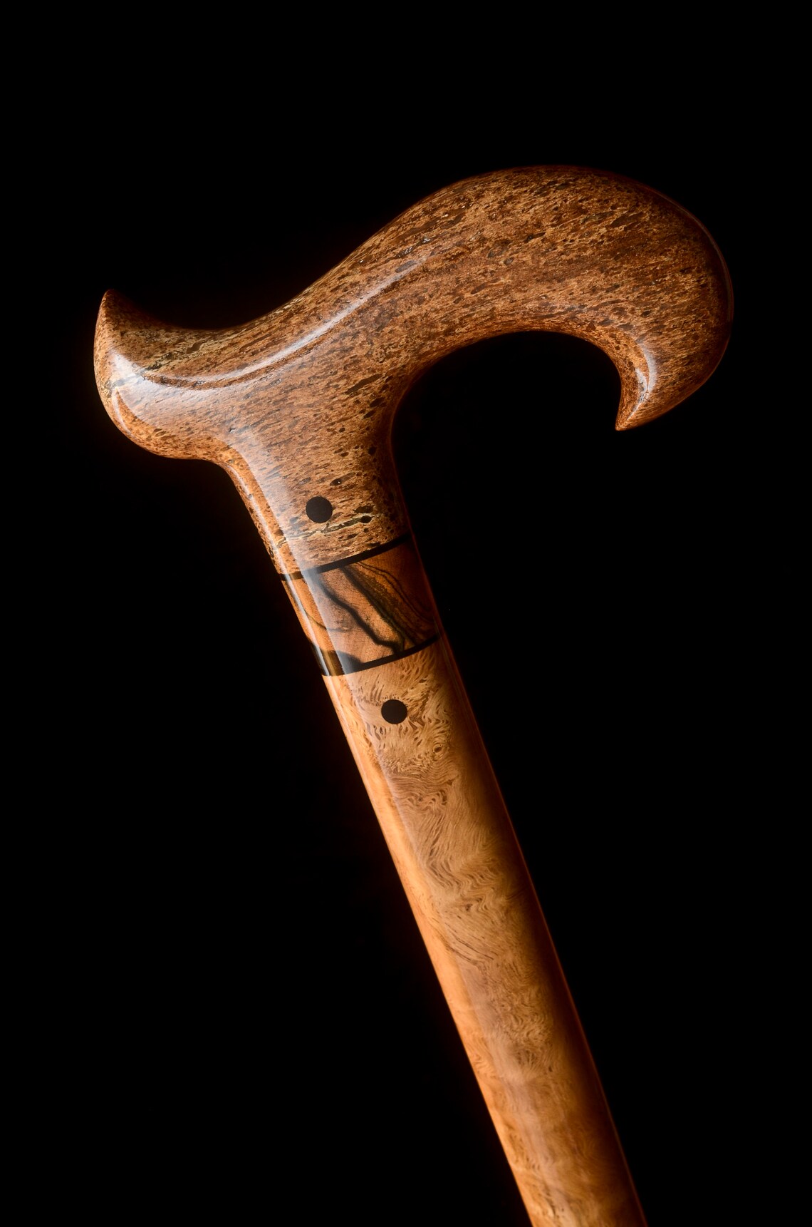 Steller's Sea Cow Bone Cane With Ebony Walking Stick - Etsy