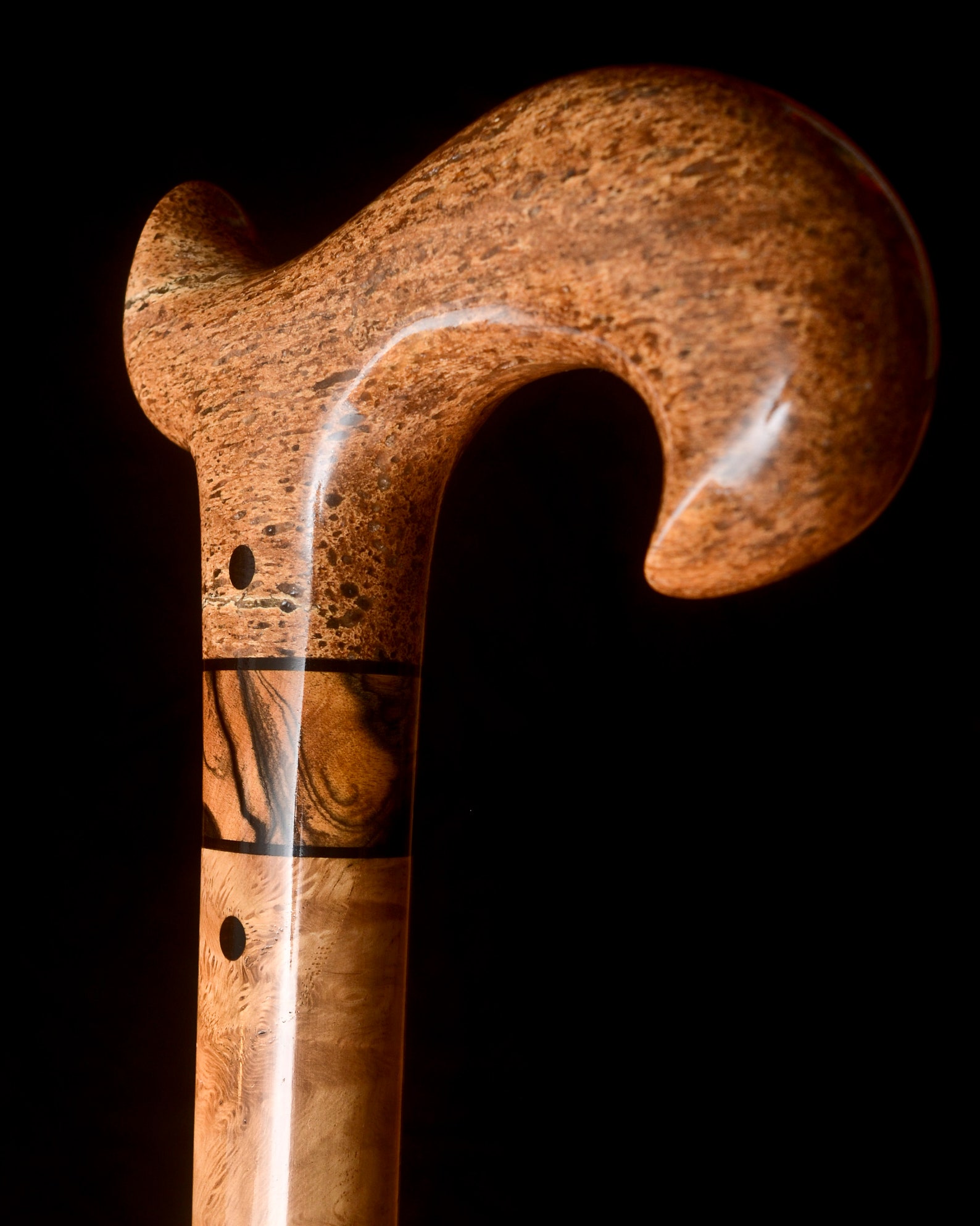 Steller's Sea Cow Bone Cane With Ebony Walking Stick - Etsy