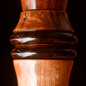 Walking Stick in Patagonia Rosewood, Cherry, and Acacia Walking Stick ...