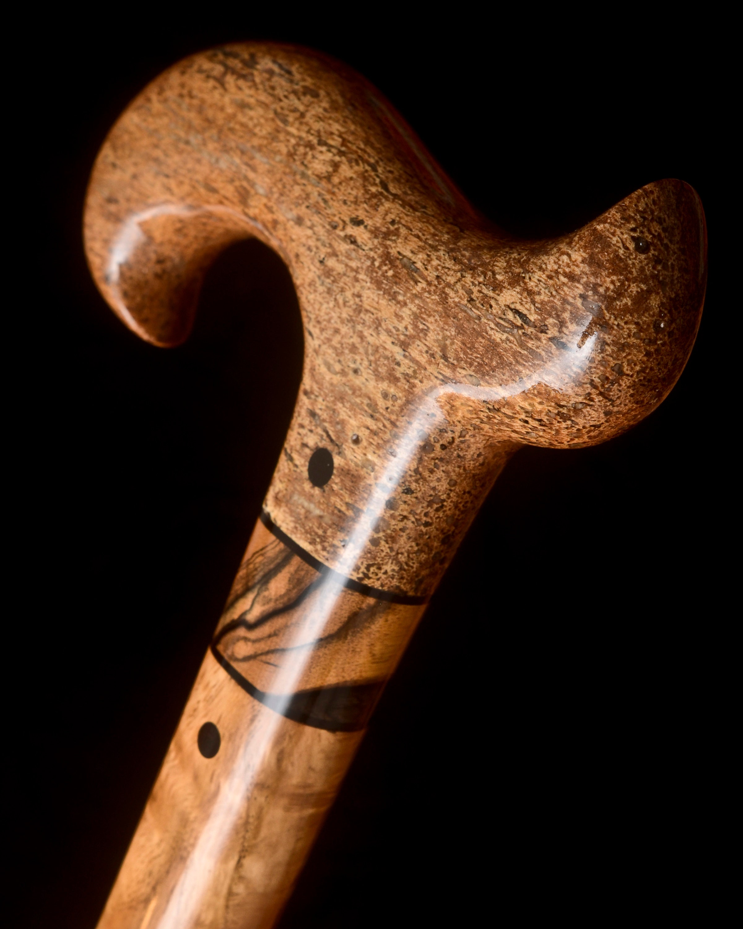 Steller's Sea Cow Bone Cane With Ebony Walking Stick, Gift Idea, Wood ...