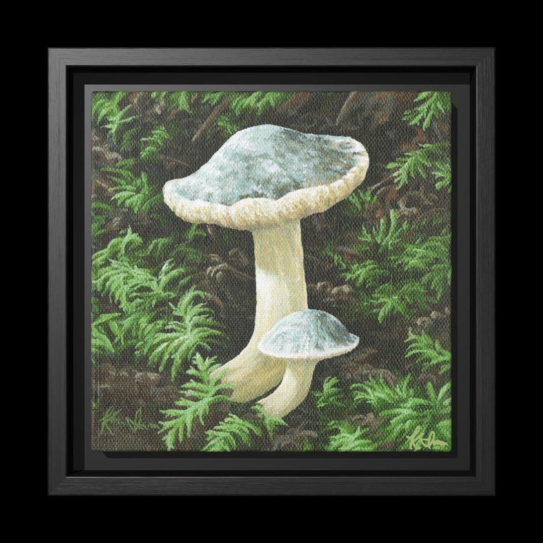 Suede Bolete Mushroom Print: Silver Falls Oregon, Framed Cotton Art - Etsy