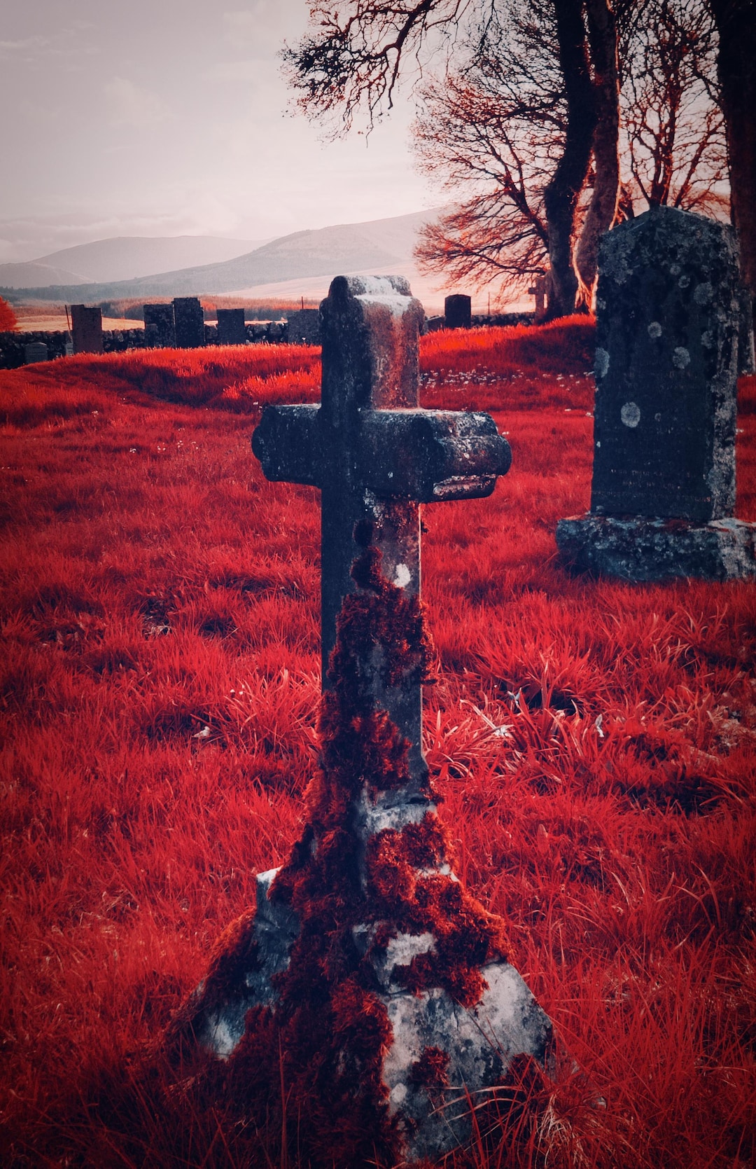 Crimson Grave - Digital Download - Etsy