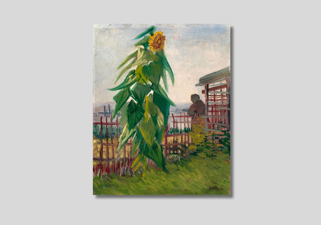 Vincent Van Gogh : Allotment With Sunflower - Canvas Art Print - Etsy