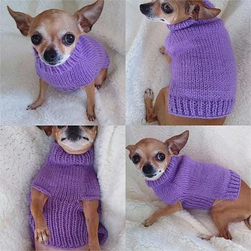 Small Dog Sweater Knitting Pattern: Pet Jumper Tutorial (PDF) - Etsy
