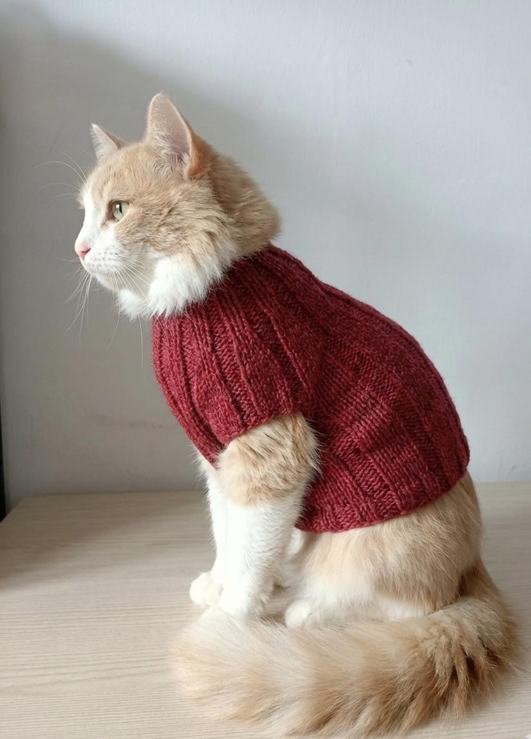 Cat Sweater Knitting Pattern PDF | Digital Download, Cozy Pet Clothing ...
