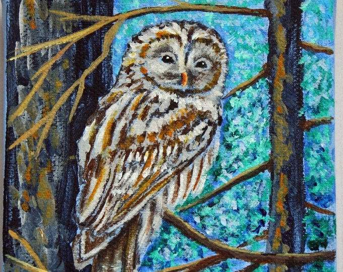 Owl Painting, Barred Owl Wall Art, Woodland Owl, Gift for Owl Lover ...