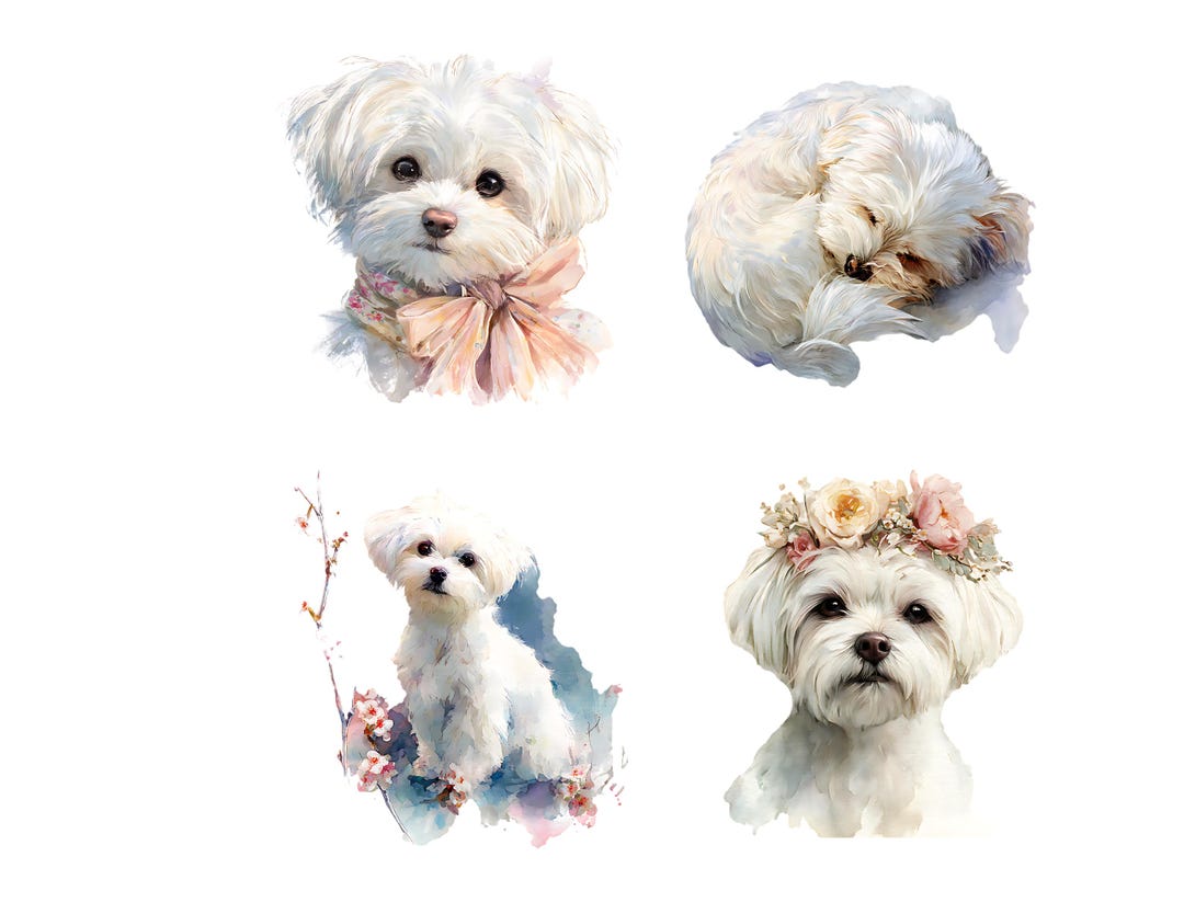Maltese Dog Watercolor Art Prints, Puppy Portrait, Pet Lover Gift, Dog ...