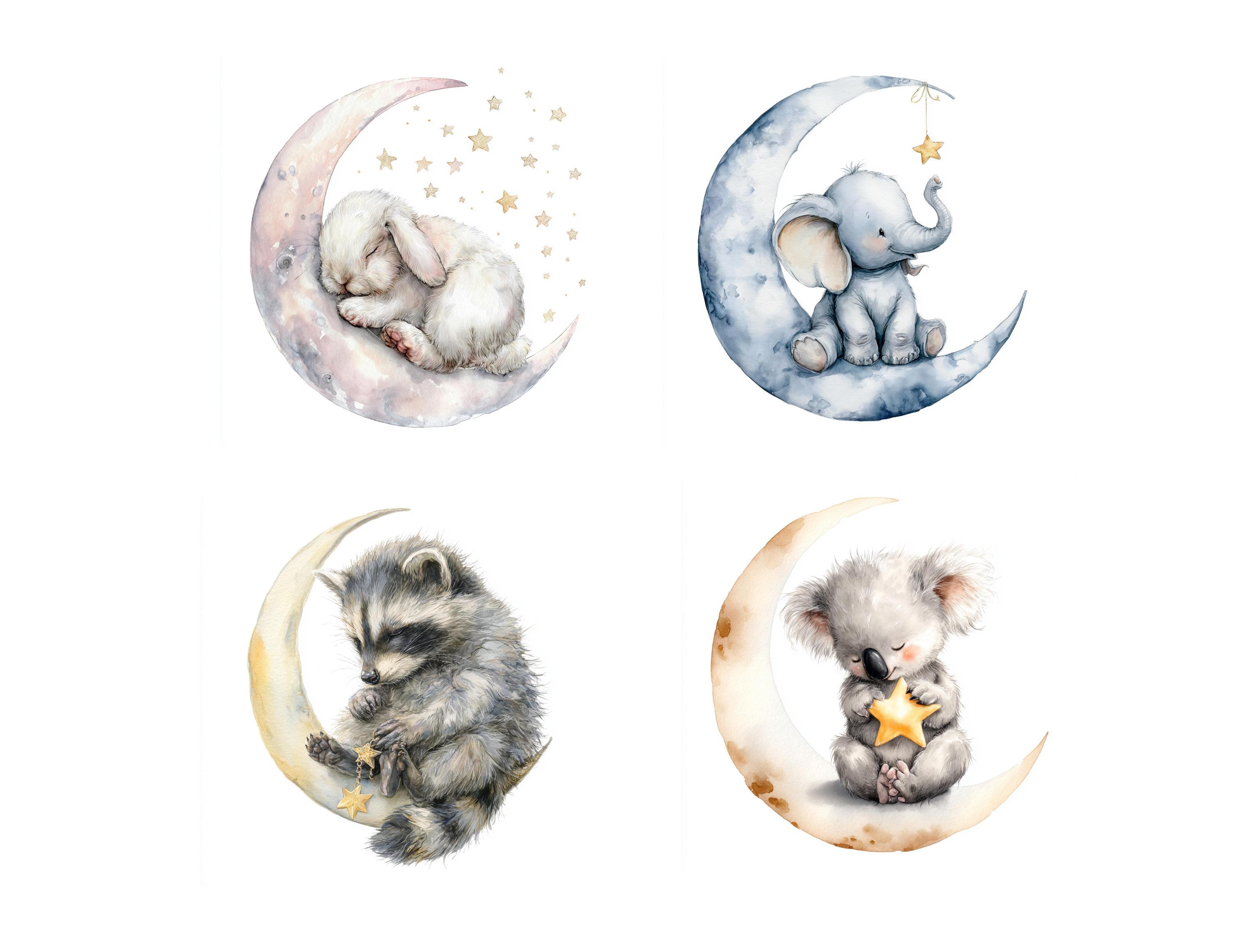 Celestial Baby Animal Clipart: Moon and Stars Digital Download (16 PNG ...