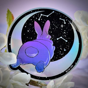 Bunny Butt "moon" Holographic Vinyl Sticker | Cute Die-cut Rabbit ...