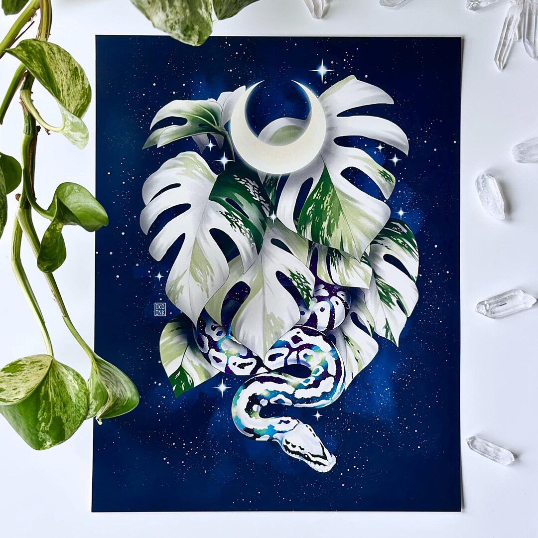 Celestial Ball Python Art Print: Variegated Monstera House Plant Art ...