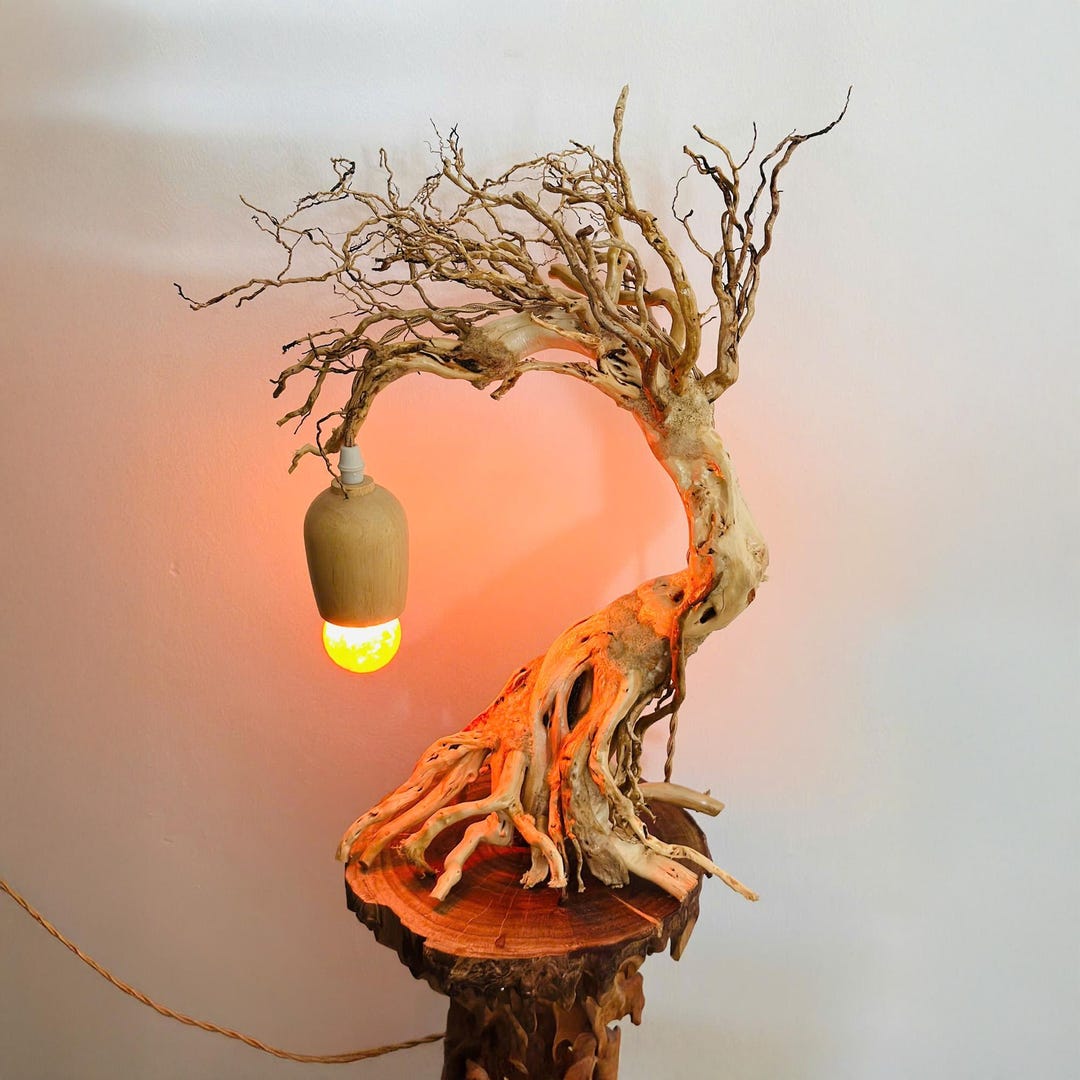 Driftwood Table Lamp Tree Branch Lamp Bonsai Art Deco Lighting Handmade ...