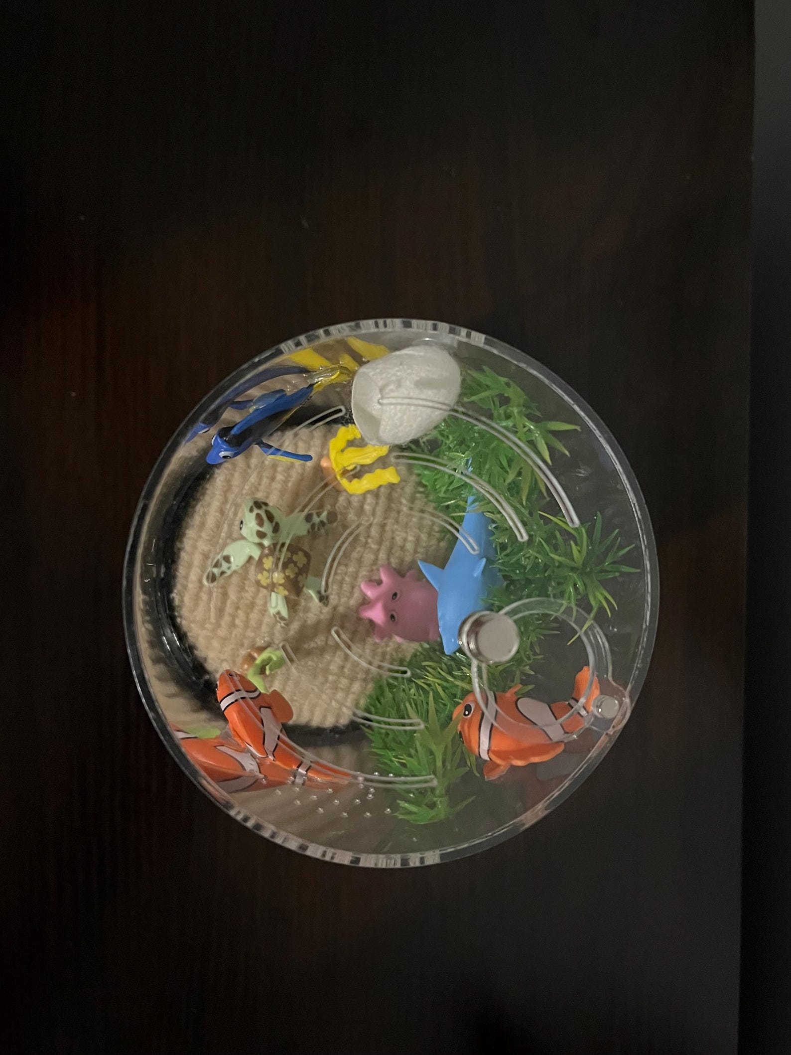 Jumping Spider Enclosure- Finding Nemo Theme - Etsy