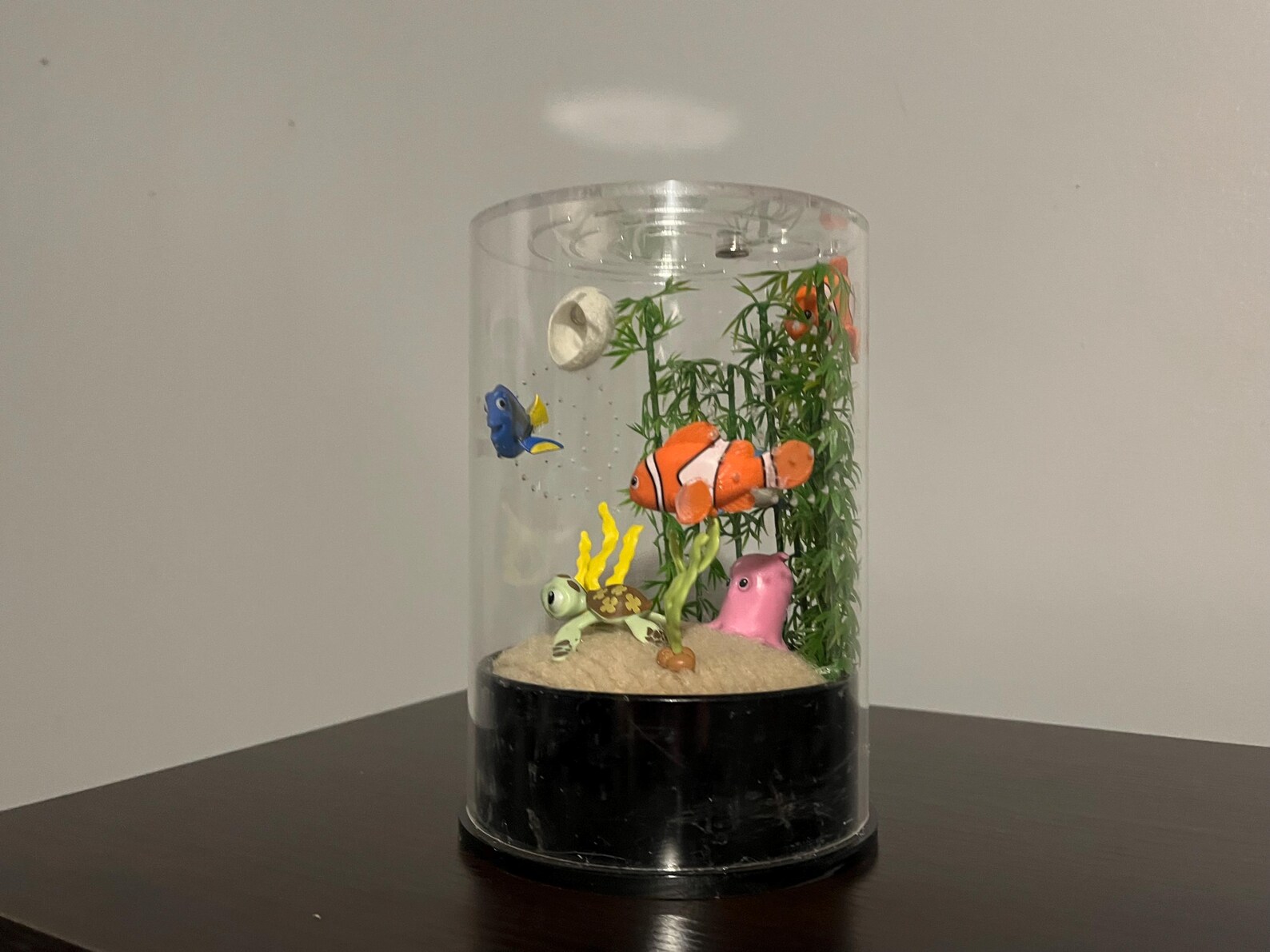 Jumping Spider Enclosure- Finding Nemo Theme - Etsy