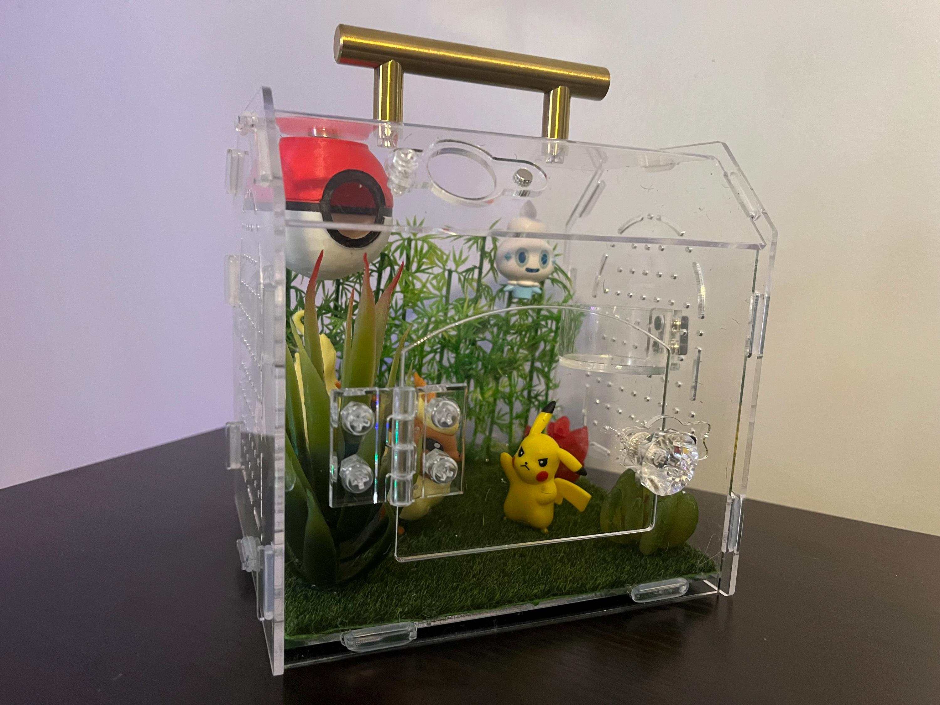Jumping Spider Enclosure- Pokémon Themed - Etsy