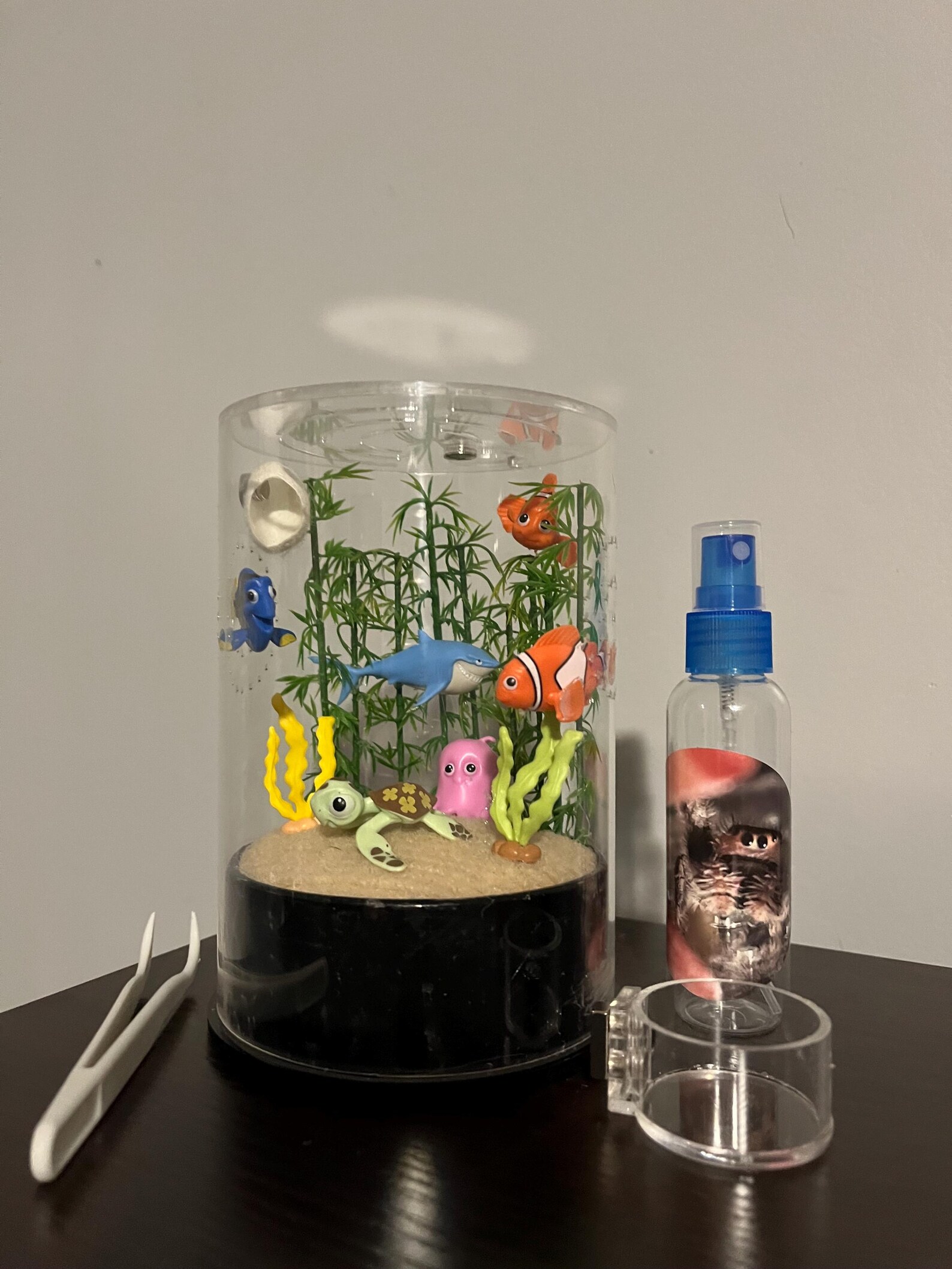 Jumping Spider Enclosure- Finding Nemo Theme - Etsy