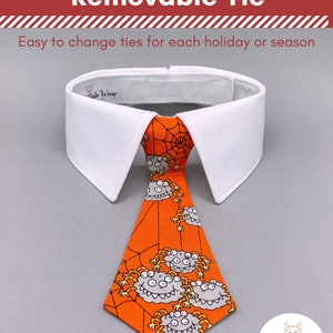 Halloween Cute Spiders Neck Tie or Bow Tie + Collar Set, Spiders ...