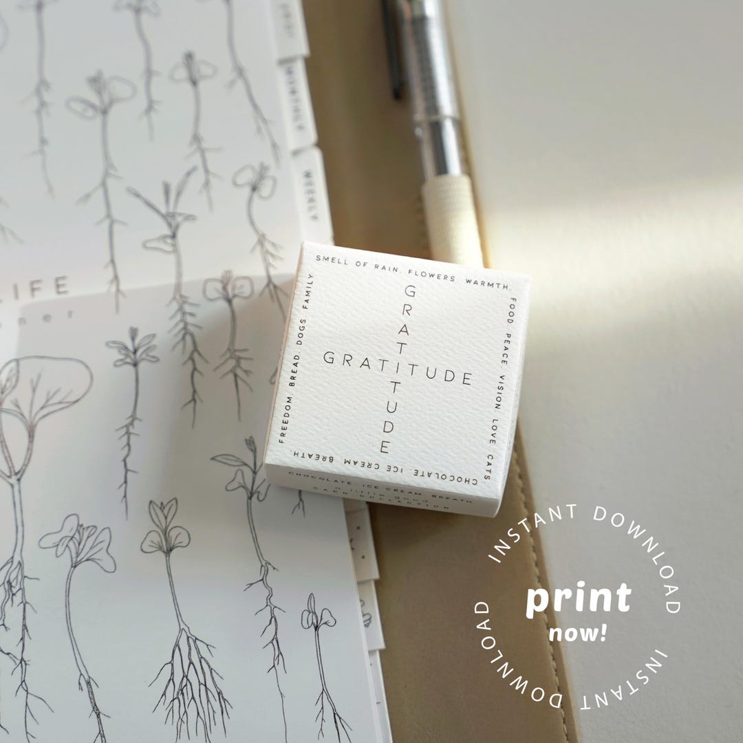 Gratitude 30 Day Challenge: Daily Gratitude Prompts, Card Deck ...