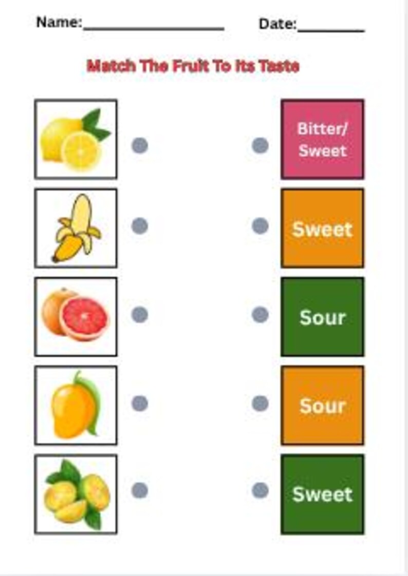 Object Matching Game | Preschool Printable Activity (PDF) - Etsy