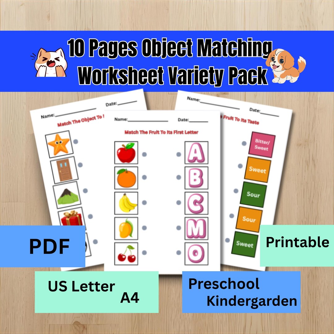 Object Matching Activity | Preschool Printable Game (PDF) - Etsy