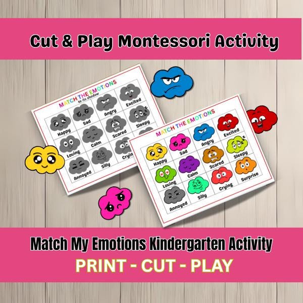 Emotions Matching Game | Preschool SEL Activity (PDF) - Etsy