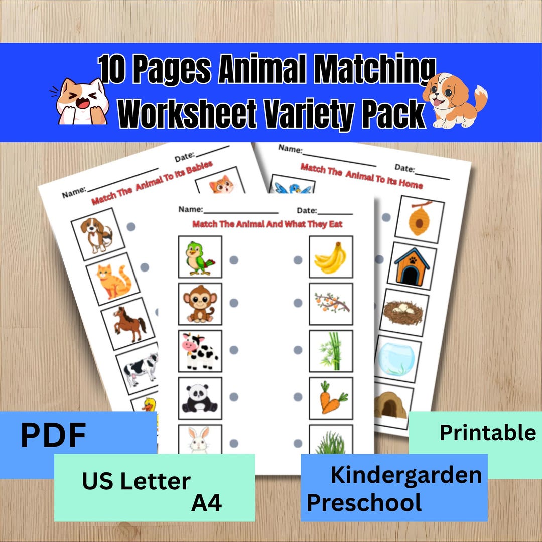 Animal Matching Worksheets, Preschool Kindergarten Activity (PDF) - Etsy