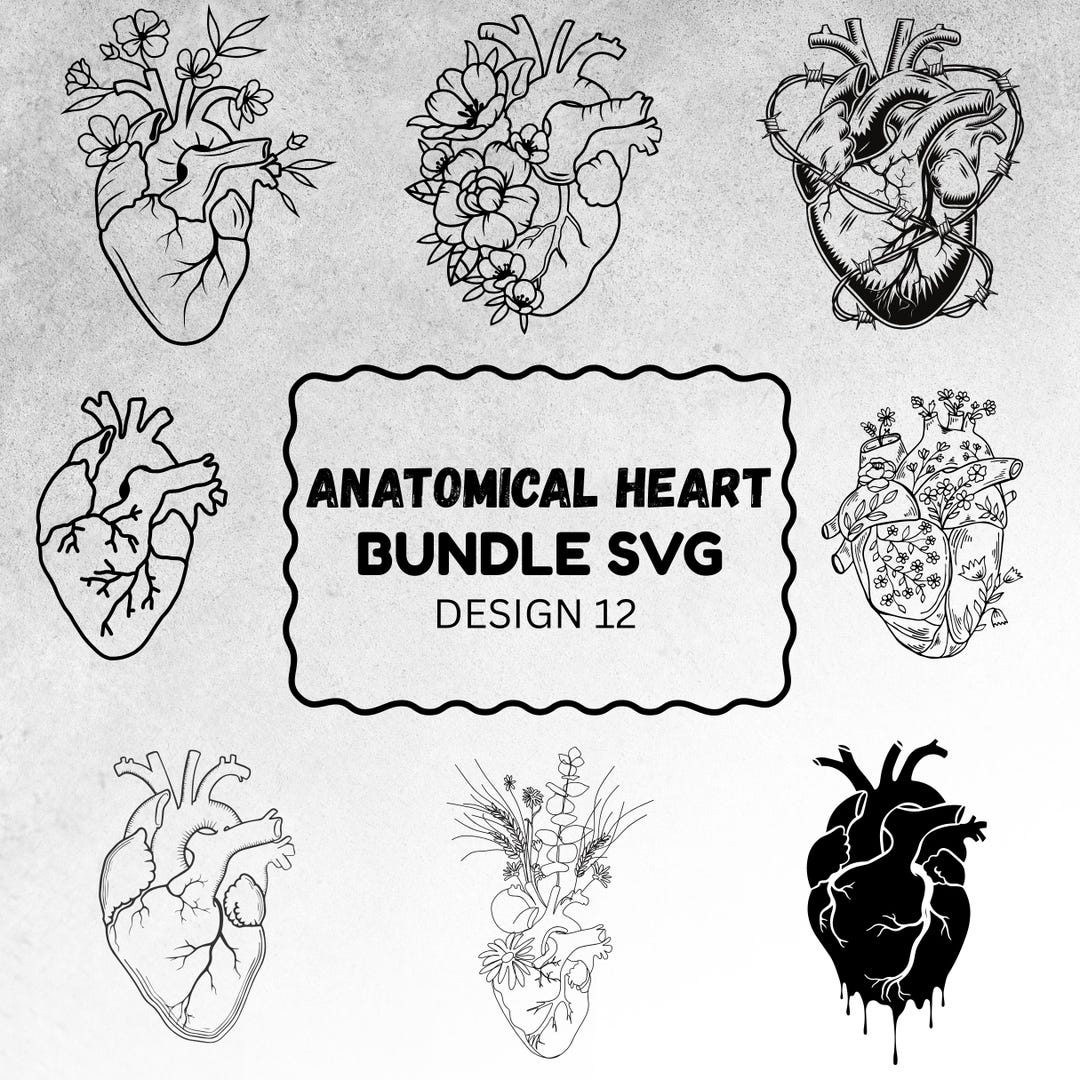 Anatomical Heart SVG Bundle | Human Heart Line Art | Medical Anatomy ...
